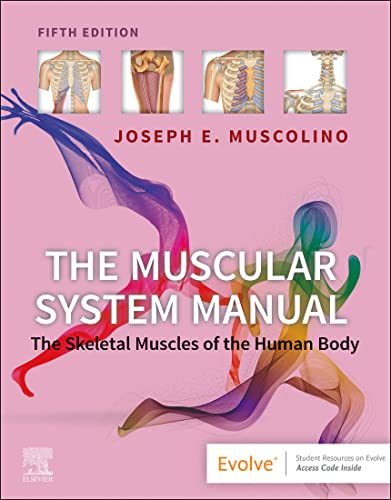 The Muscular System Manual - E-Book - Kindle edition by Muscolino ...
