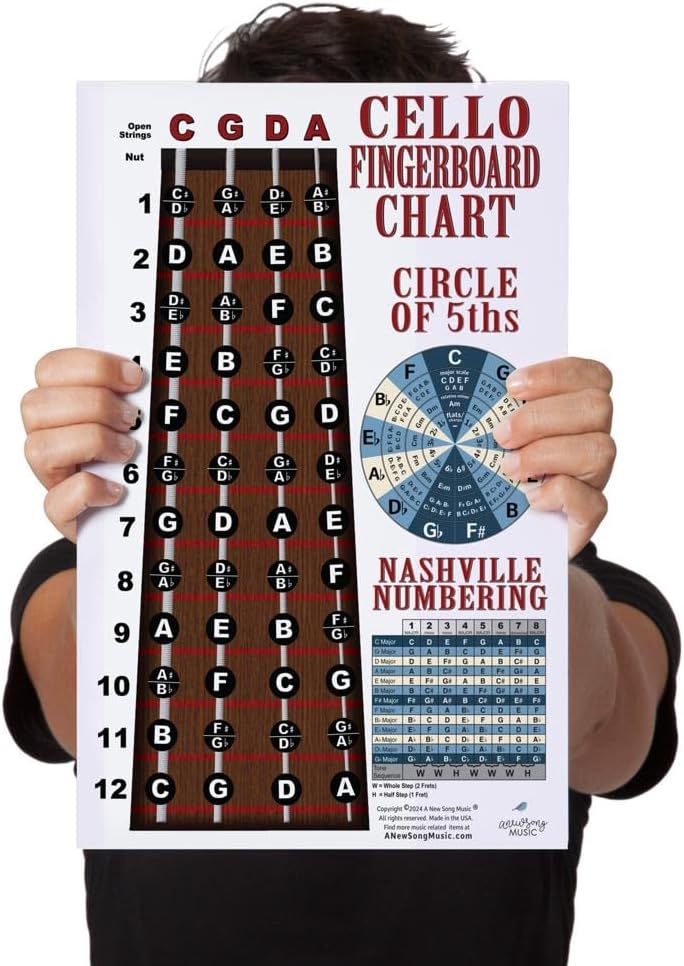 Amazon.com - A New Song Music Laminated Cello Fingerboard Note ...