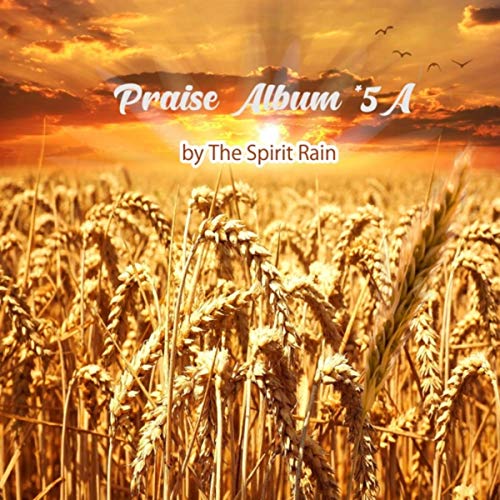 Amazon.com: Praise Album *5a : The Spirit Rain: Digital Music