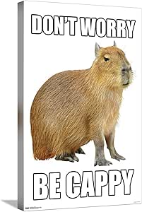 Amazon.com: Trends International Capybara - Be Cappy Wall Poster, 14.72 ...