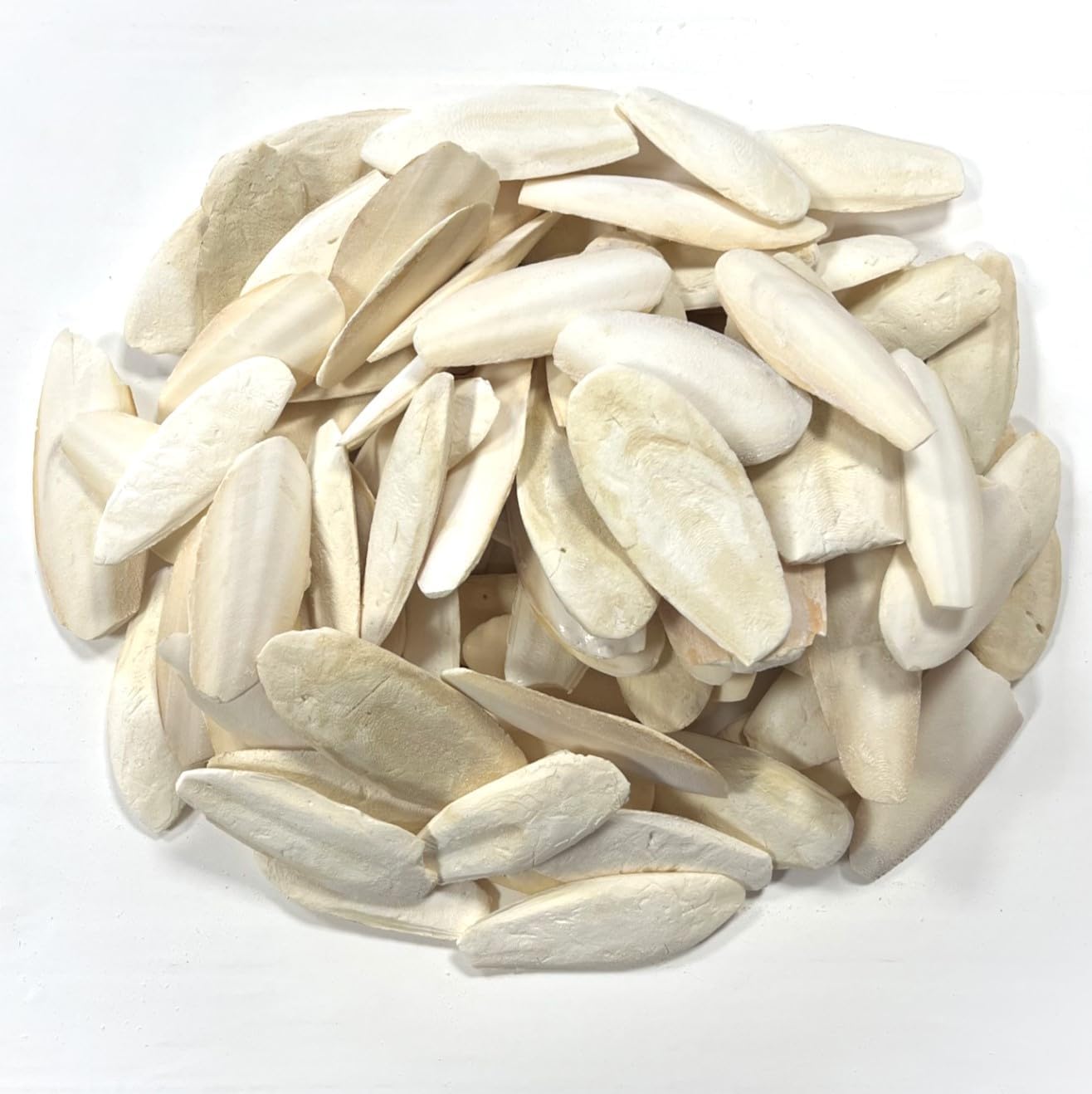 500g Premium Quality Cuttlefish Bone (7-10cm) Suitable for Cage Birds ...
