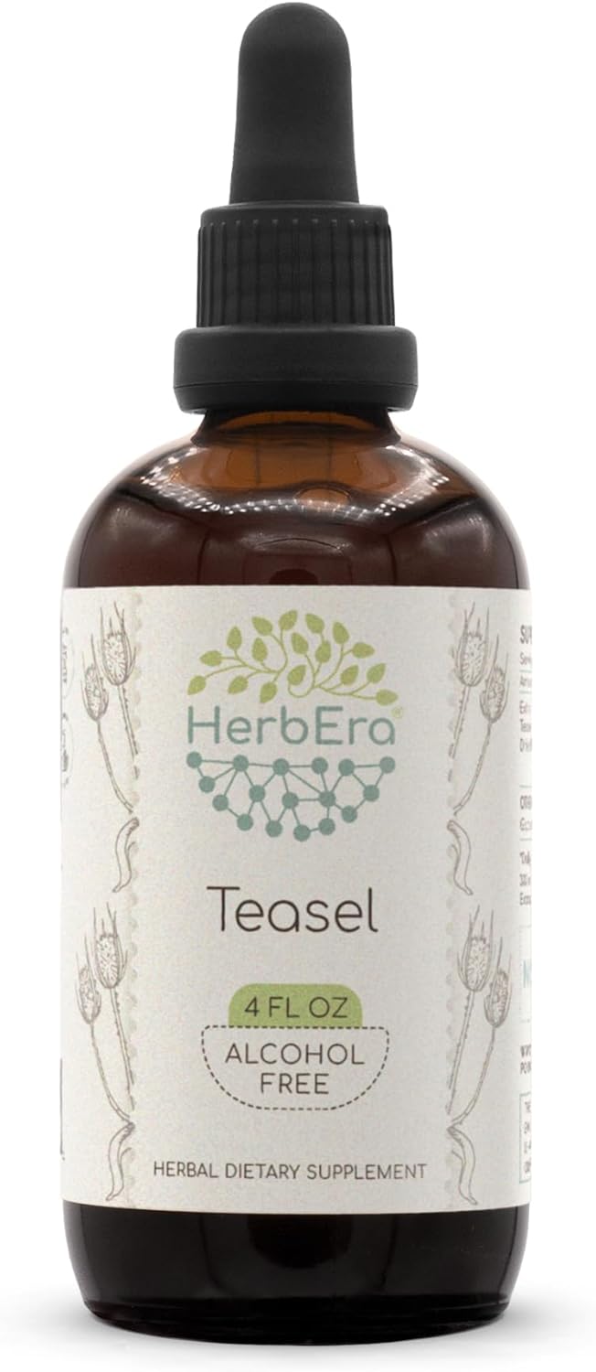 Amazon.com: HerbEra Teasel B120 Alcohol-Free Herbal Extract Tincture ...