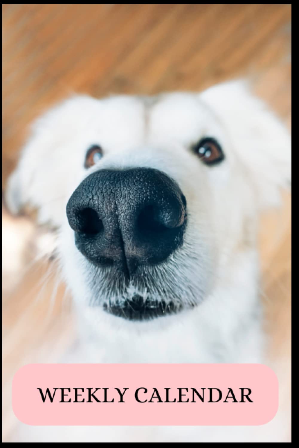Amazon.com: Boop The Snoot Aidi Dog Undated Weekly Calendar: A Calendar ...