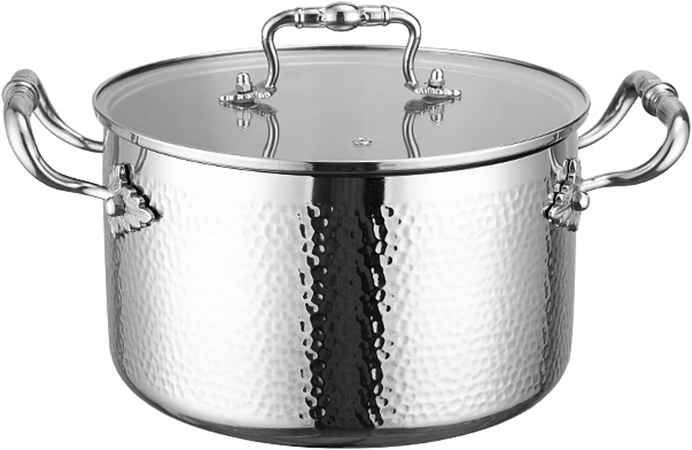 Amazon.com: Toutrop Stainless Steel Stock Pot with Visible Lid for ...