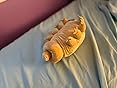 TAMMYFLYFLY Lifelike Sea Creature Tardigrade Water Bear Plush , Stuffed ...