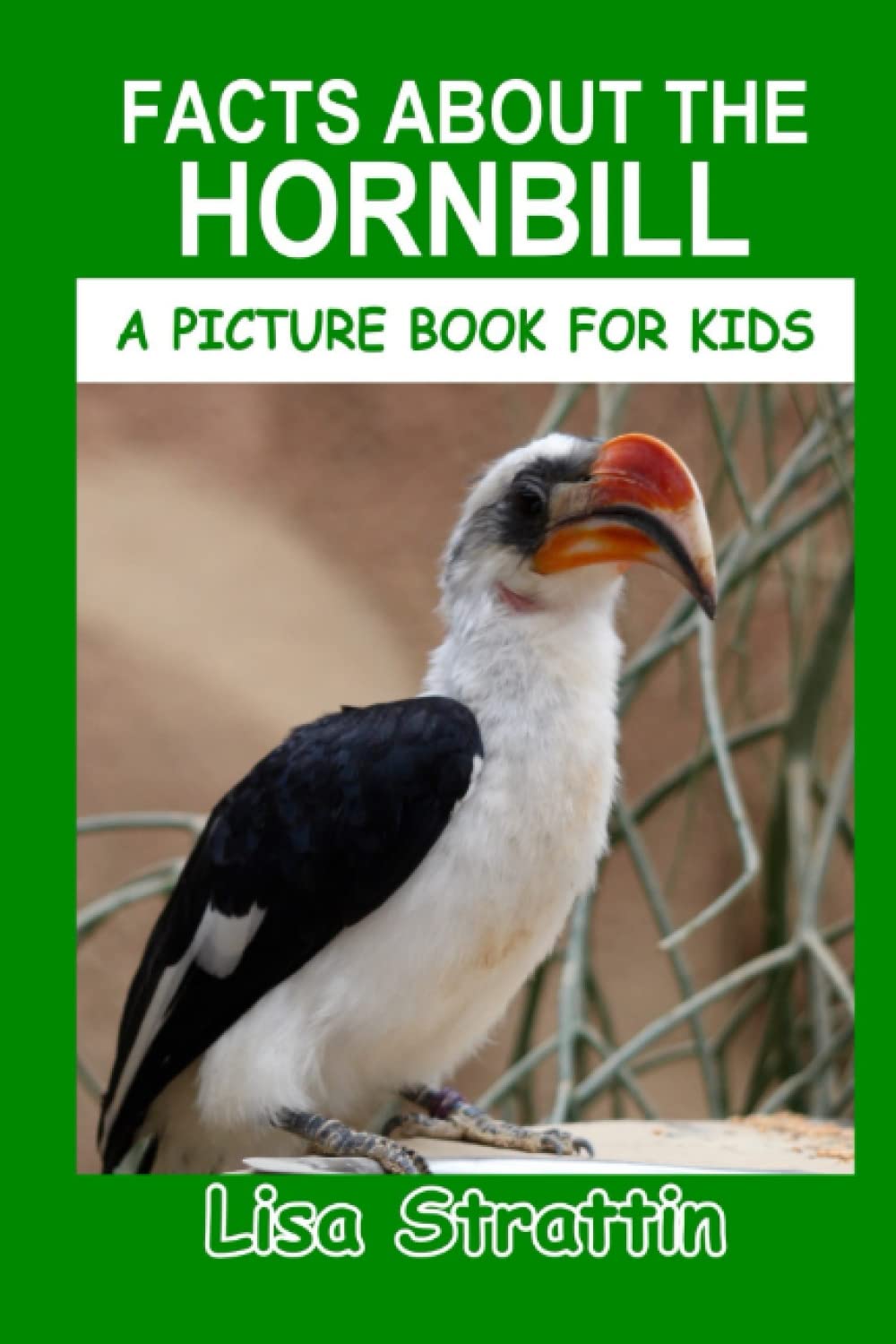 Facts About The Hornbill (A Picture Book For Kids): Strattin, Lisa ...