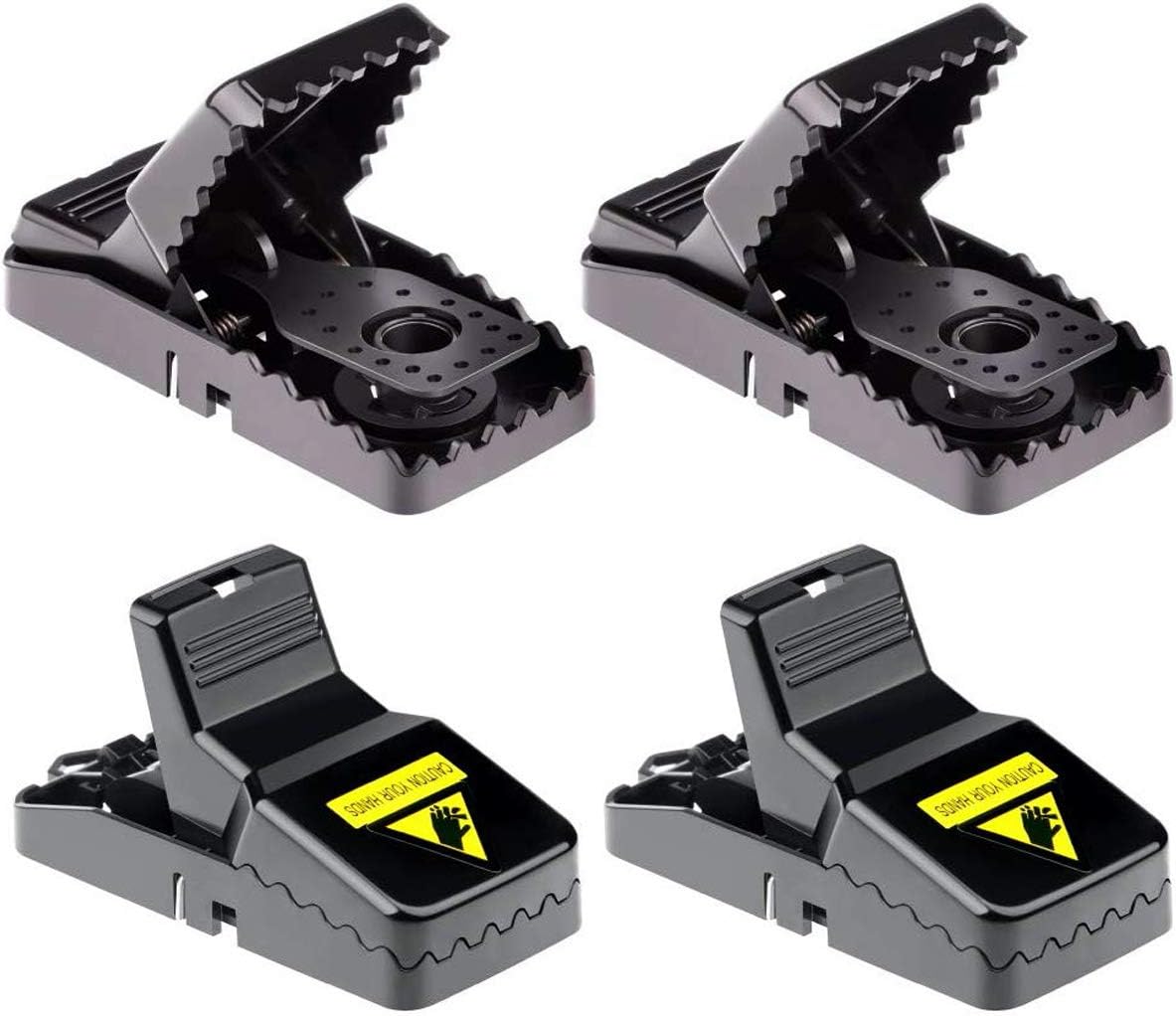 Deadfast Mouse and Rat Killer Plus Poison, 15 Block - Green : Amazon.co ...