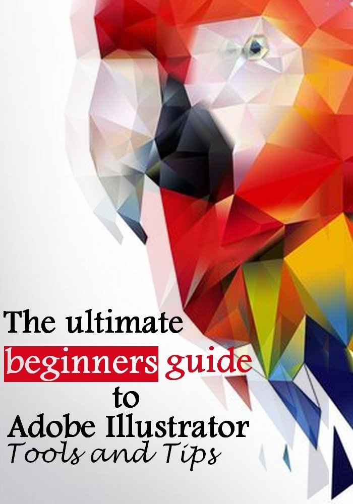 Amazon.com: The beginners guide to Adobe Illustrator Tools and Tips ...
