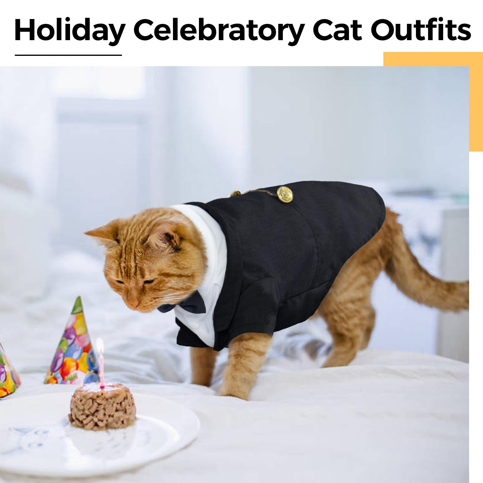 Cat wedding suit | Beachweddingtips.com