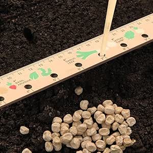 Amazon.com : Wooden Seed Spacing Ruler for Gardeners with Holes, Plant ...