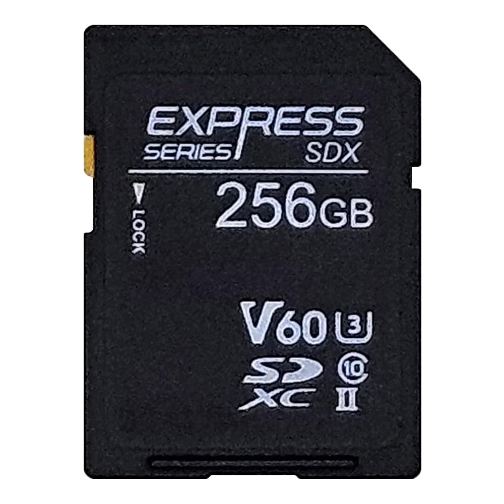 Amazon.com: Novachips 256GB, SDXC UHS-II, Full Size Memory Card ...