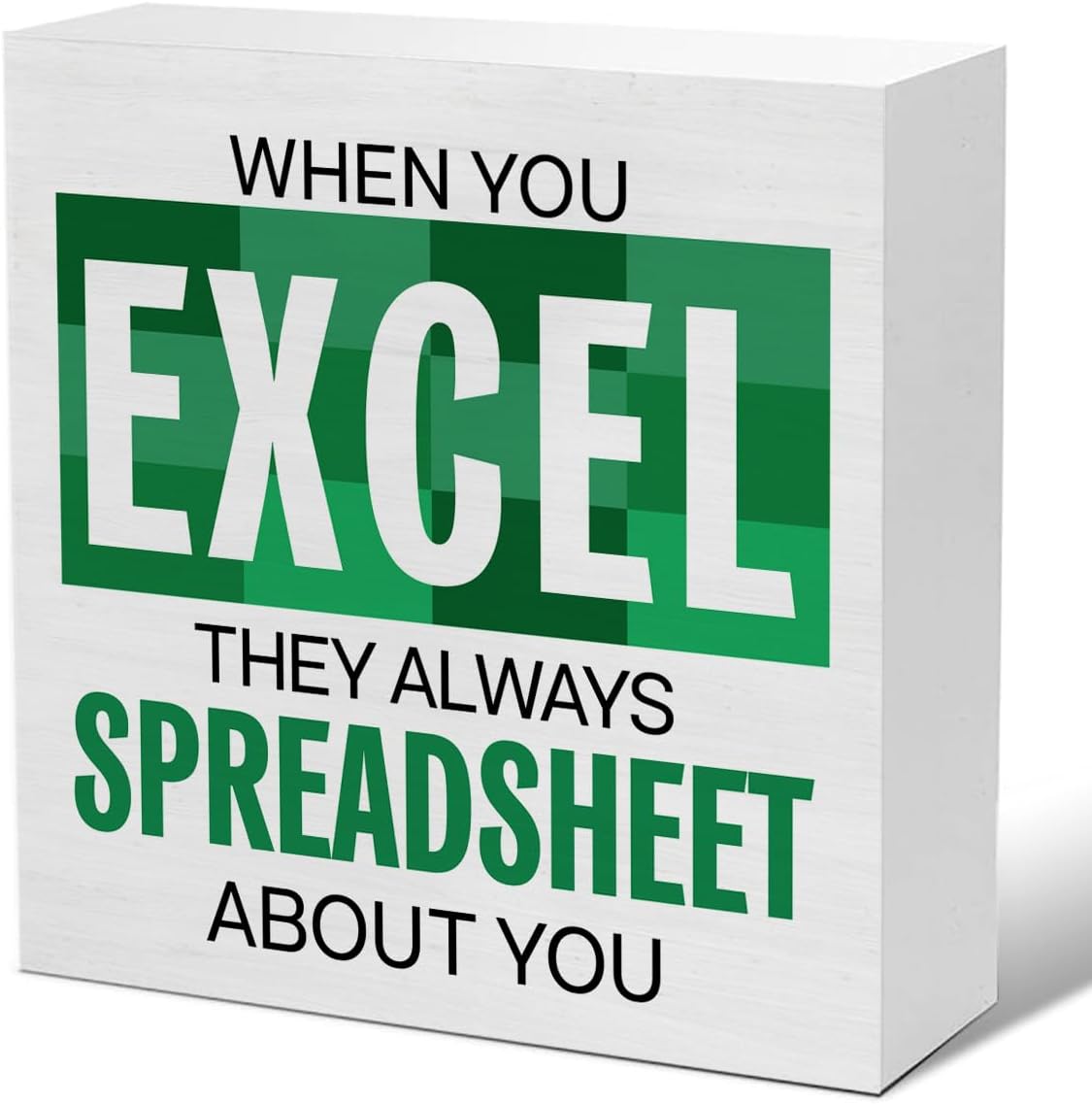 Amazon.com: Spreadsheet Decor Funny Office Gifts for Accountant ...