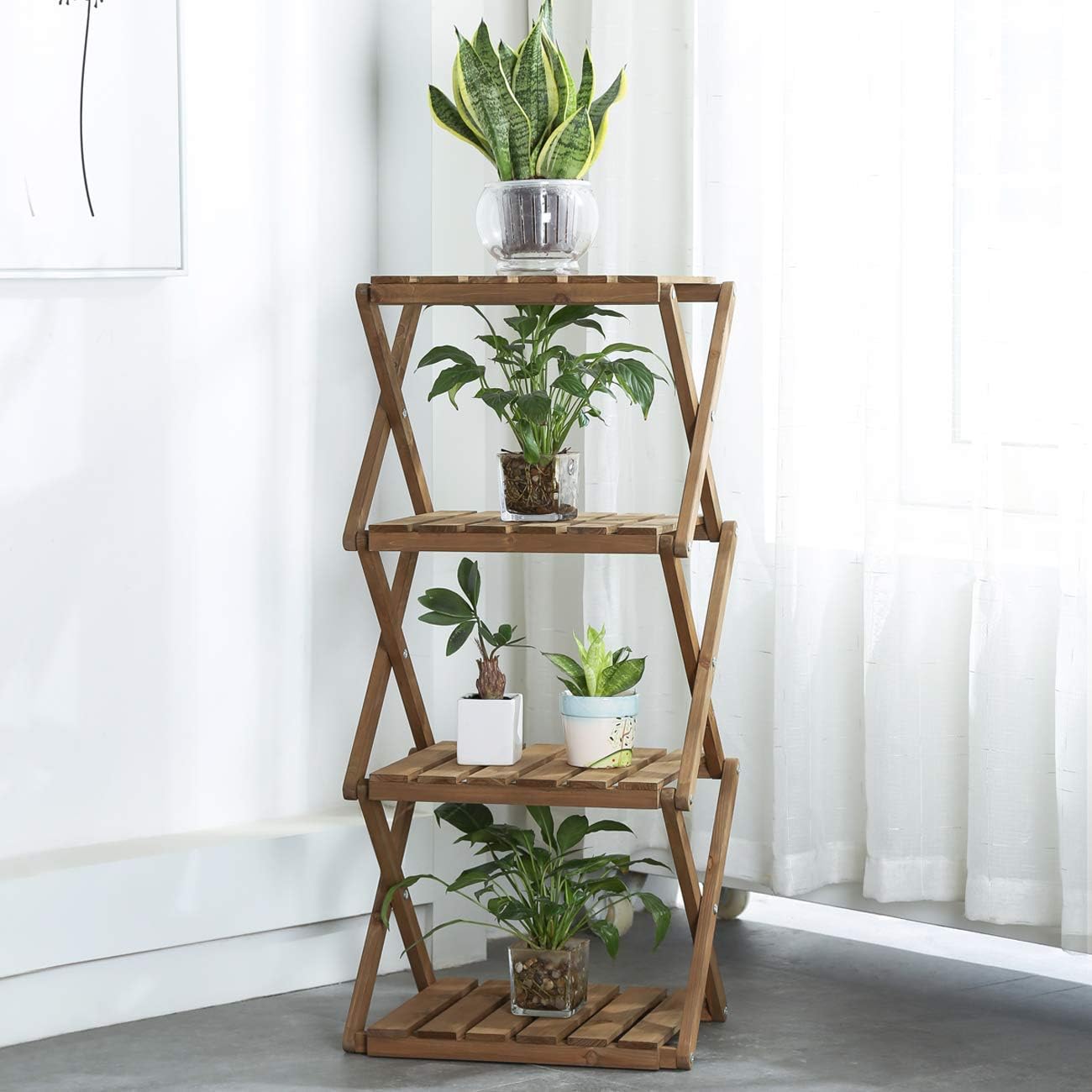 Amazon.com: Ferry Morse Pop-up Multi-Tier Indoor Plant Stand & Seed ...