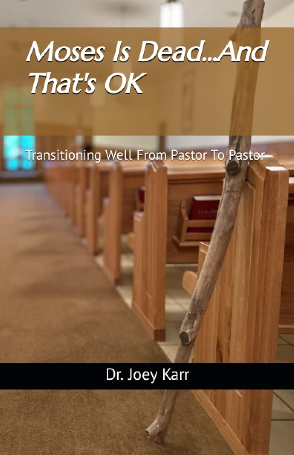 Moses Is Dead...And That's OK: Transitioning Well From Pastor To Pastor ...