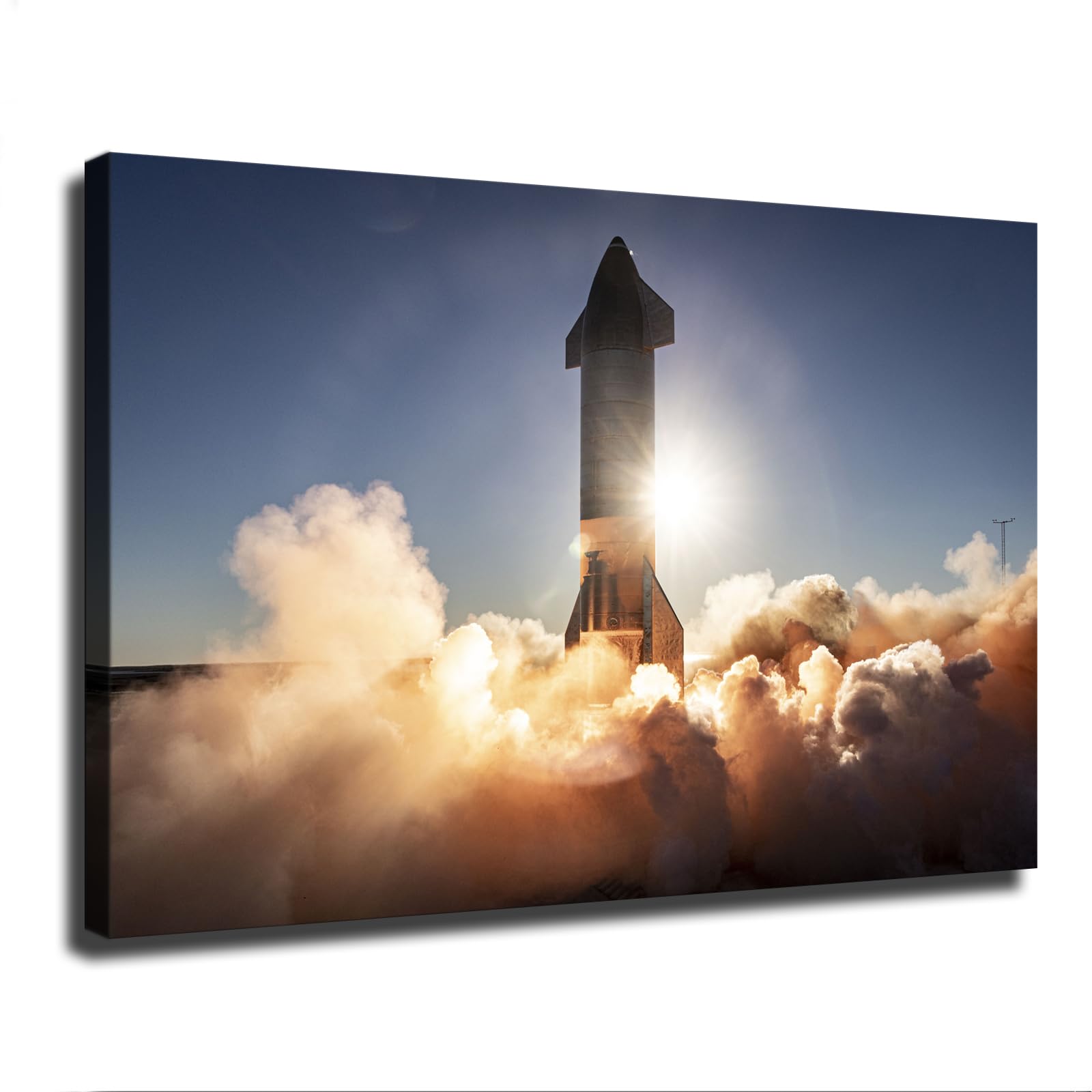 Amazon.com: Elon Musk's SpaceX Starship SN8 Rocket Plans To Mars Wall ...