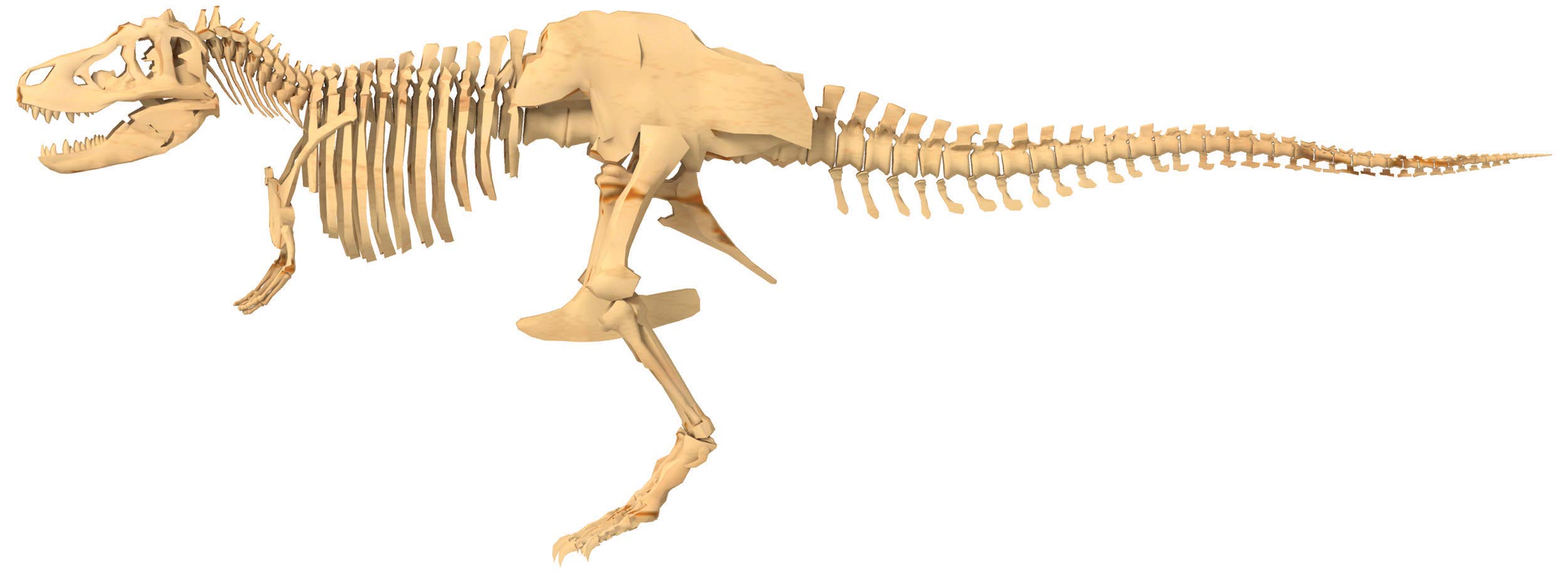 Buy Thames & Kosmos Giant Dinosaur Skeleton Kit | STEM Activity | Build ...