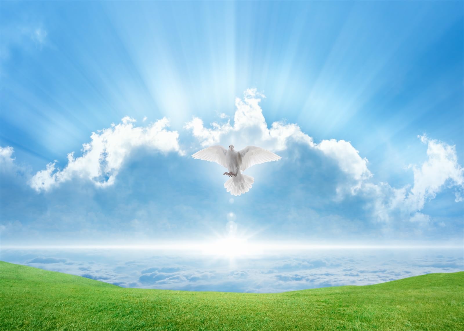 Religious Dove Backgrounds