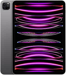 Apple- iPad Pro 2022 (11 Pulgadas, Wi-Fi + Celular, 256 GB) - Gris Espacial (Renovado) : Amazon ...