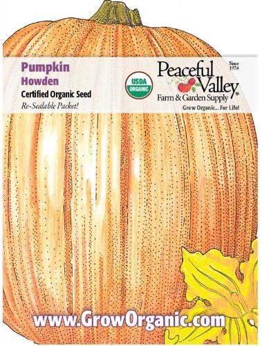 Amazon.com : Organic Pumpkin Seed Pack, Howden : Patio, Lawn & Garden