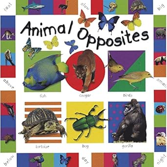 Animal Opposites : Amazon.in: Books