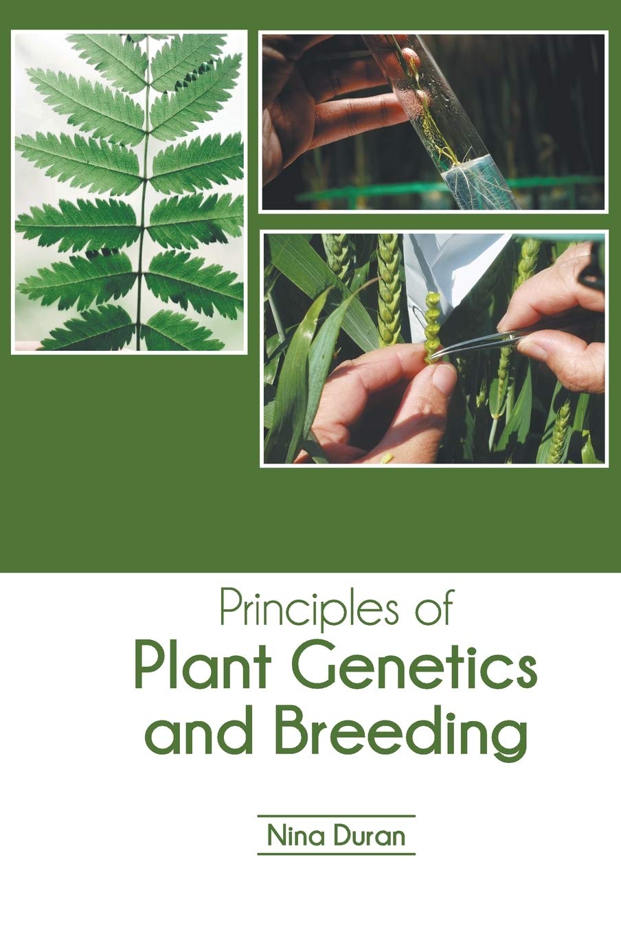 Principles of Plant Genetics and Breeding: Duran, Nina: 9781641162296 ...