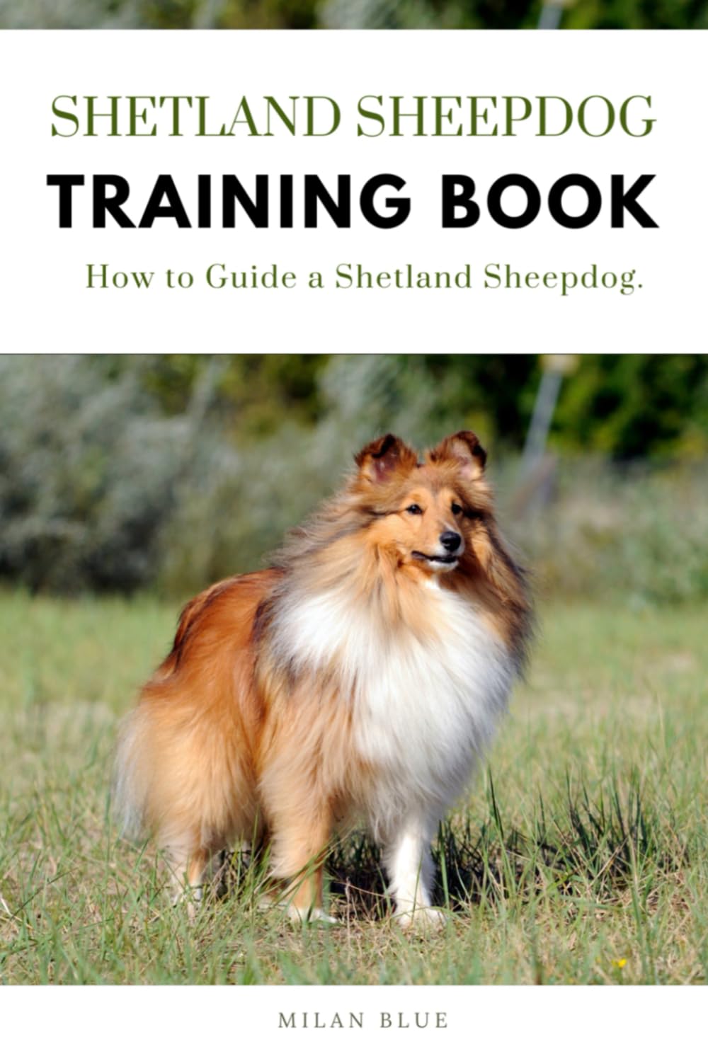 Shetland Sheepdog Training Book: How to Guide a Shetland Sheepdog: Blue ...