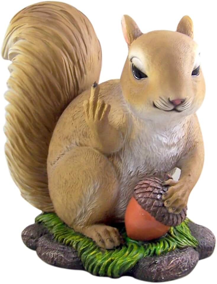 Amazon.com: squirrel figurines and statues