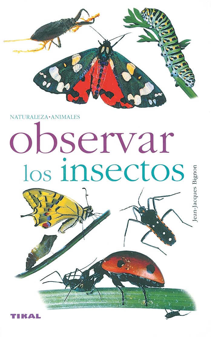 Observar los insectos (Spanish Edition): Bignon, Jean-Jacques ...