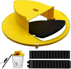Amazon.com : Bucket Mouse Rat Trap Lid,Turnover & Slide Mouse mice ...