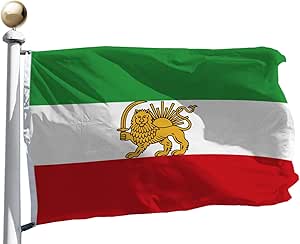 Amazon.com : Double sided Old Historic Persian Iran with Lion Sun Flag ...