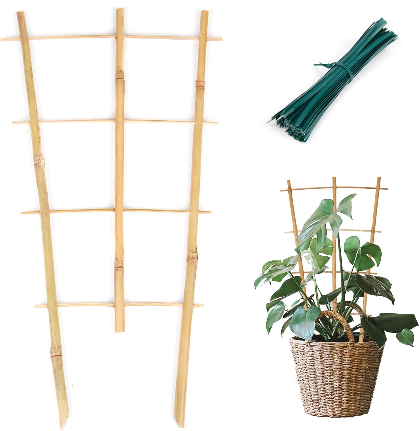 Amazon.com : 5 Pack 16" Bamboo Trellis for Climbing Plants-Natural ...