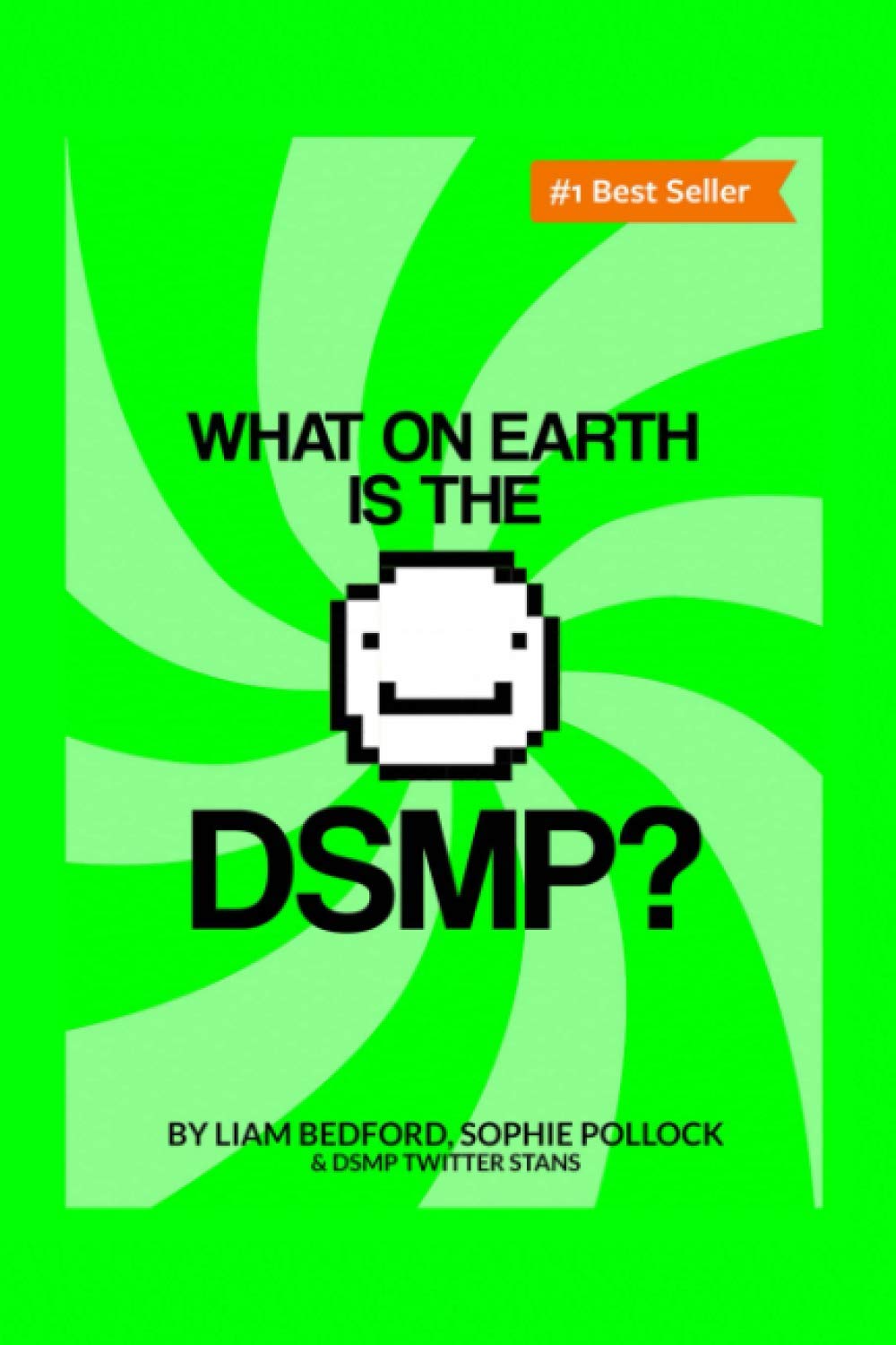 What On Earth Is The DSMP?: A short book that explains exactly what the ...