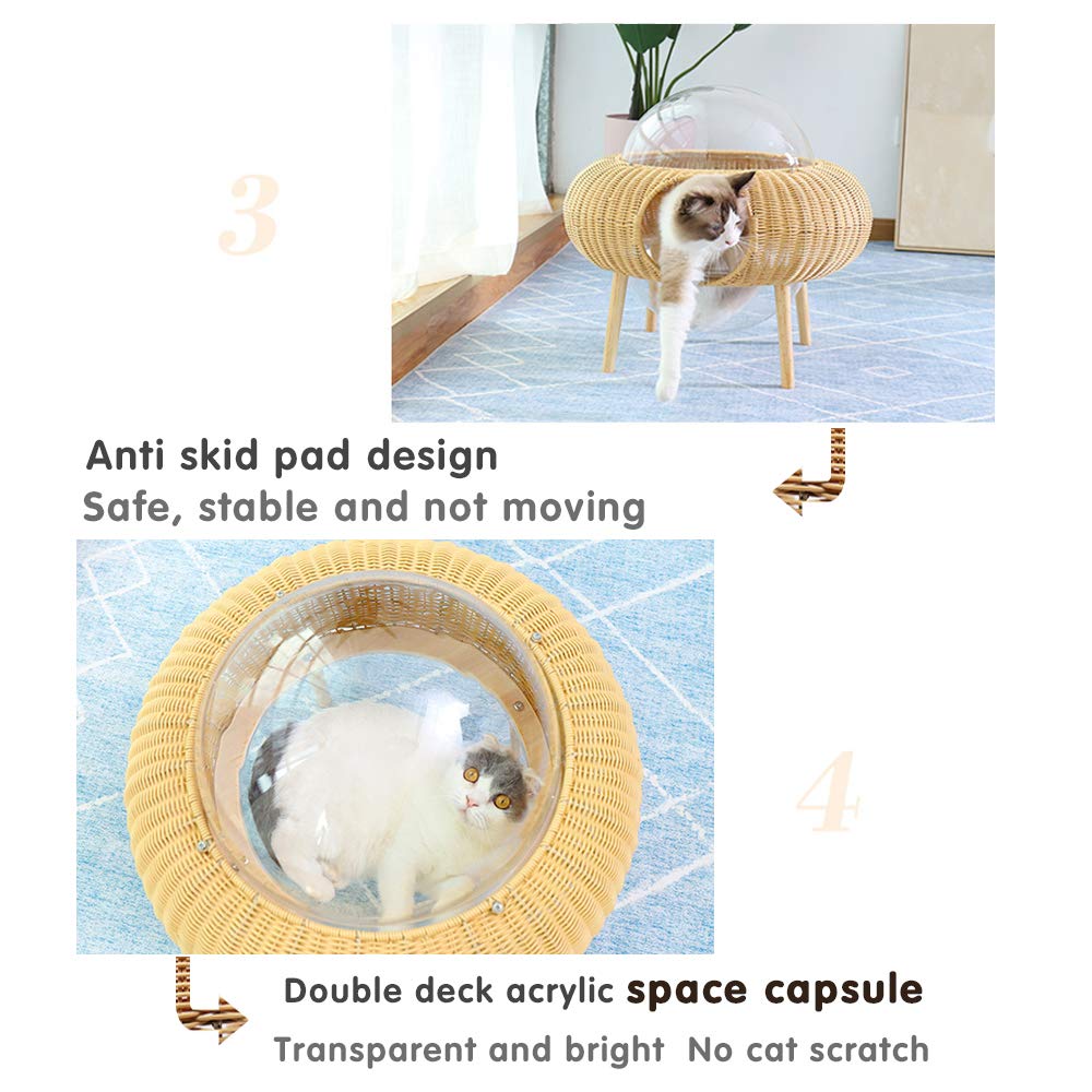 Pomelo Cat MUNCHKIN COOL CAT PURPPLE 51924 Pomelo