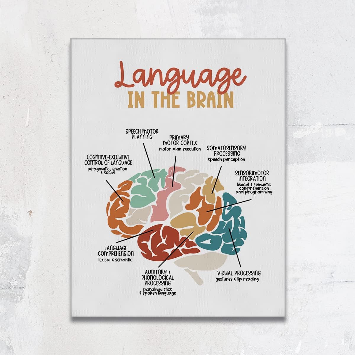 Amazon.com: Language in the Brain SLP Speech Therapy Mental Health ...