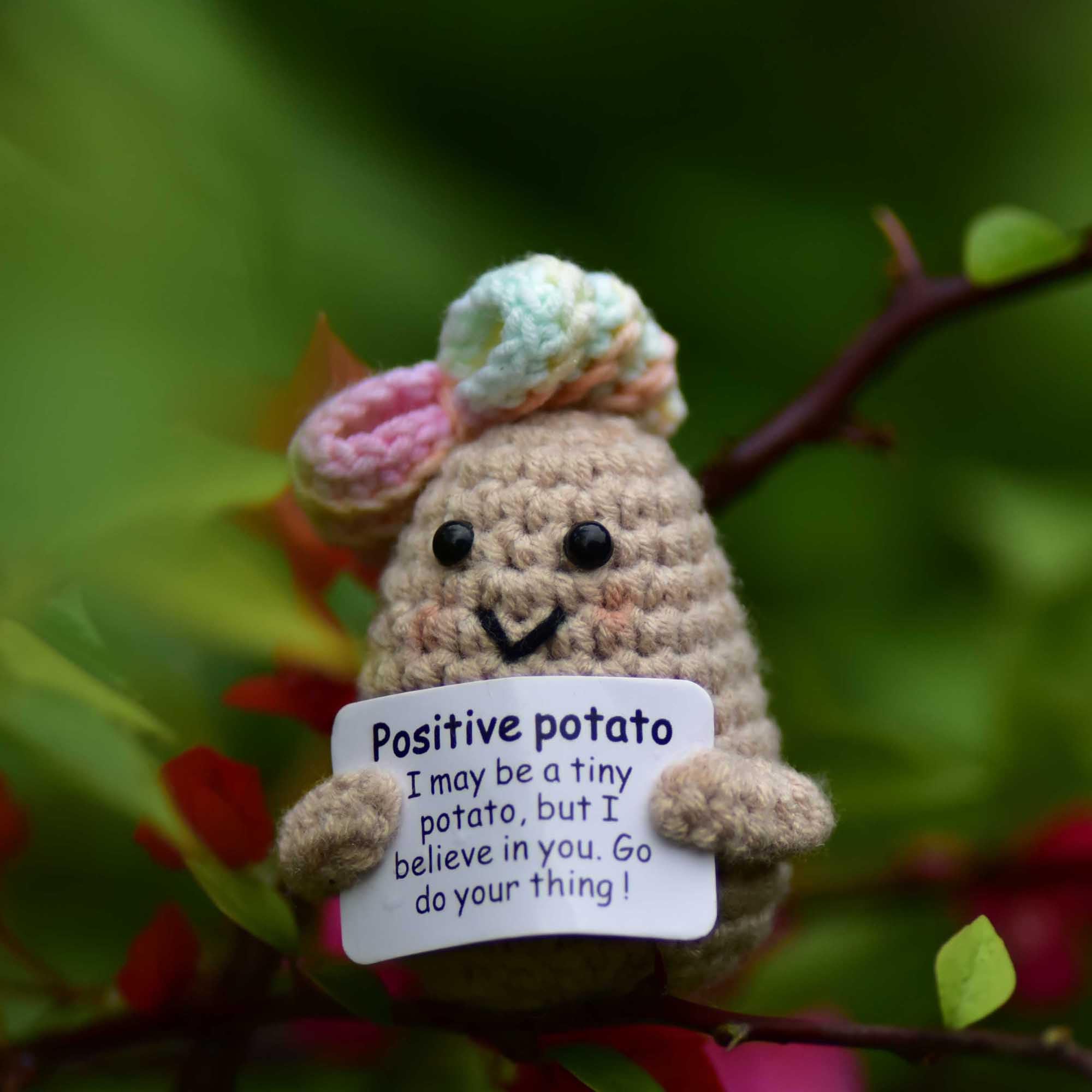 Crochet Positive Potato 6PCS Positive Potato Cute Emotional Support ...