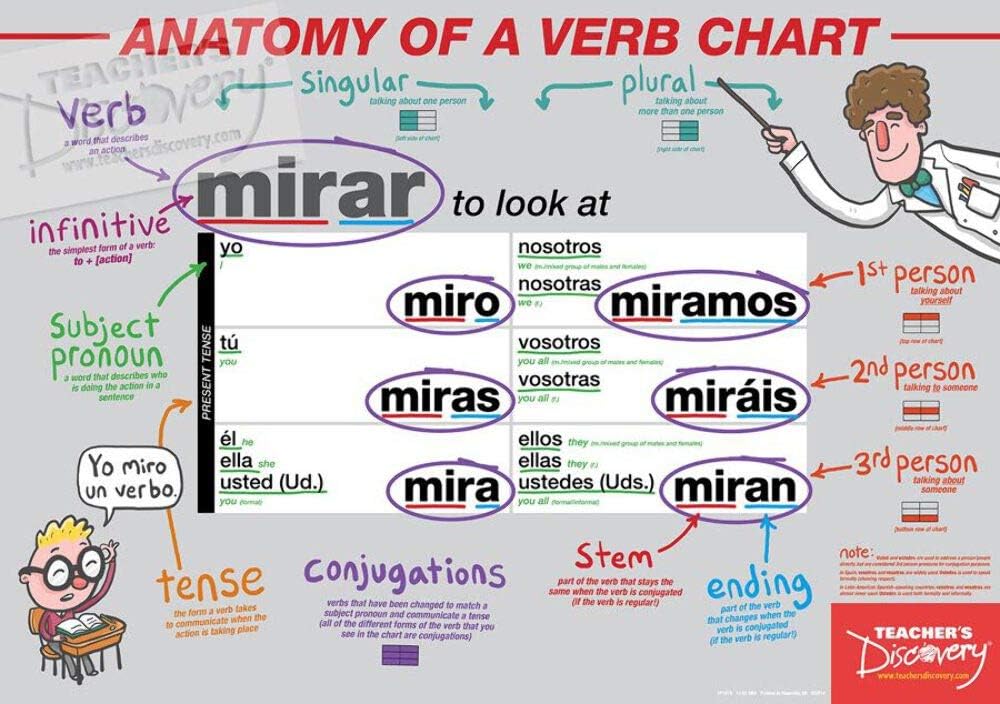 Amazon.com: Teacher's Discovery Anatomy of a Verb Chart Spanish Poster ...