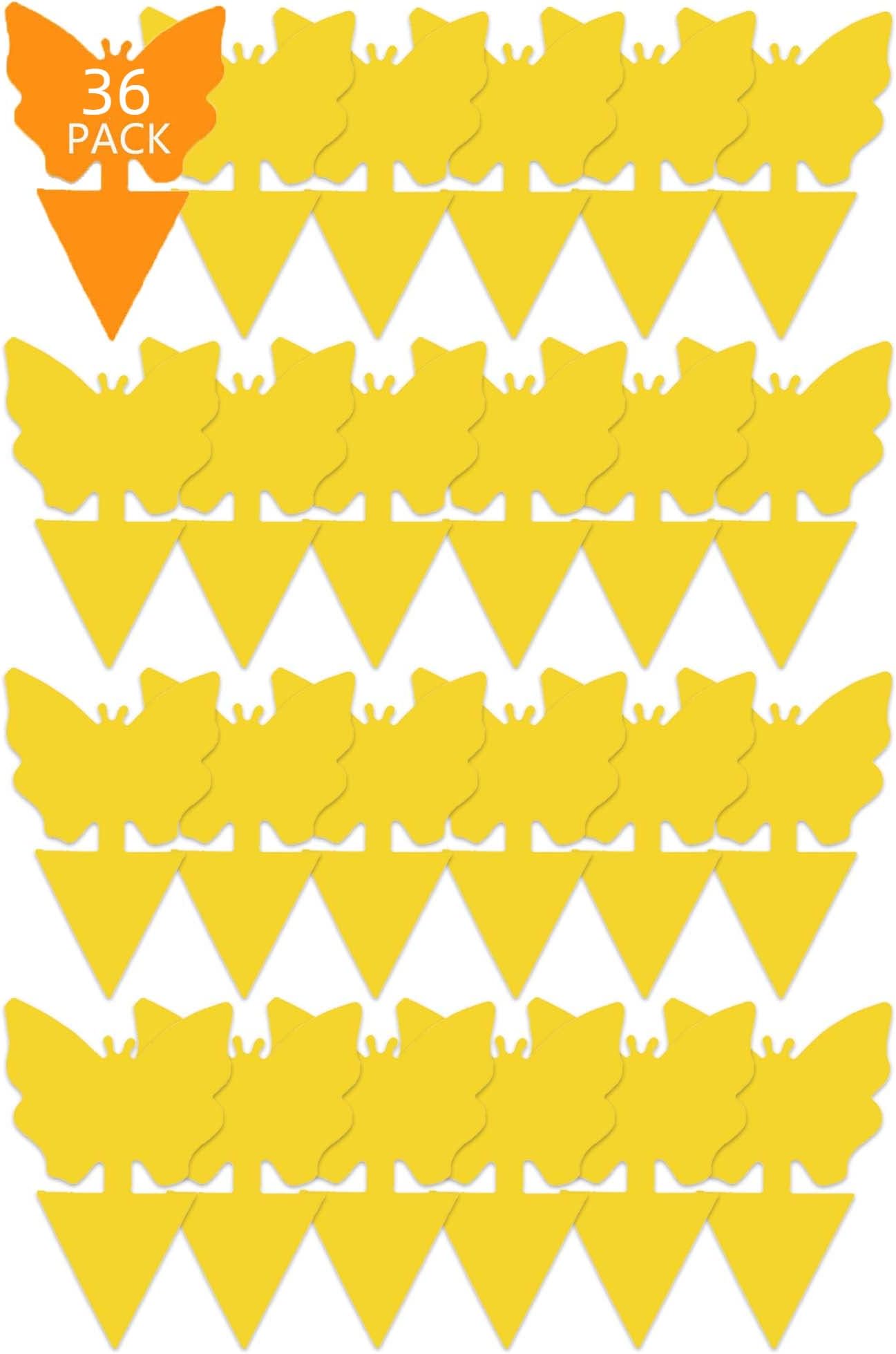 Amazon.com : Catchmaster Fly Ribbon 20-Pack, Bug & Fruit Fly Traps ...