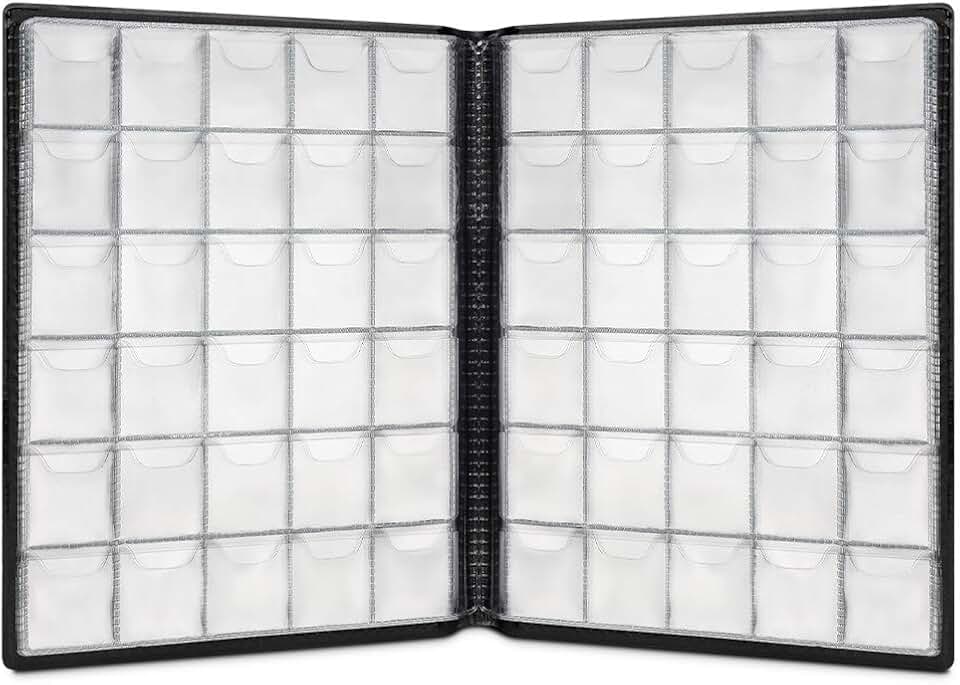 Amazon.it: raccoglitore monete