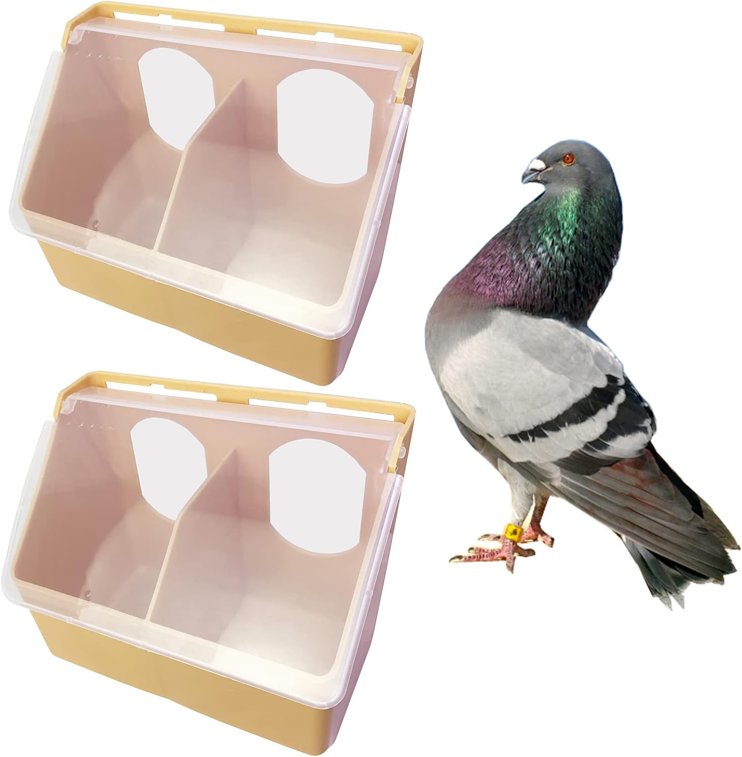 Amazon.com : Button Quail Transparent Feeder Feed Box Seed Food ...