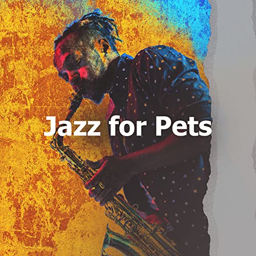 Play Jazz for Pets by Calming Jazz For Dogs on Amazon Music