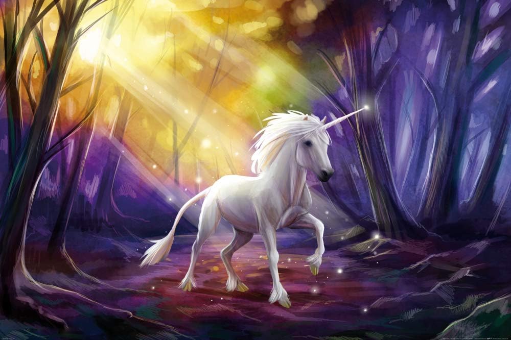 1art1 Licornes Posters XXL Licorne dans La Forêt Magique Affiche 120x80 ...