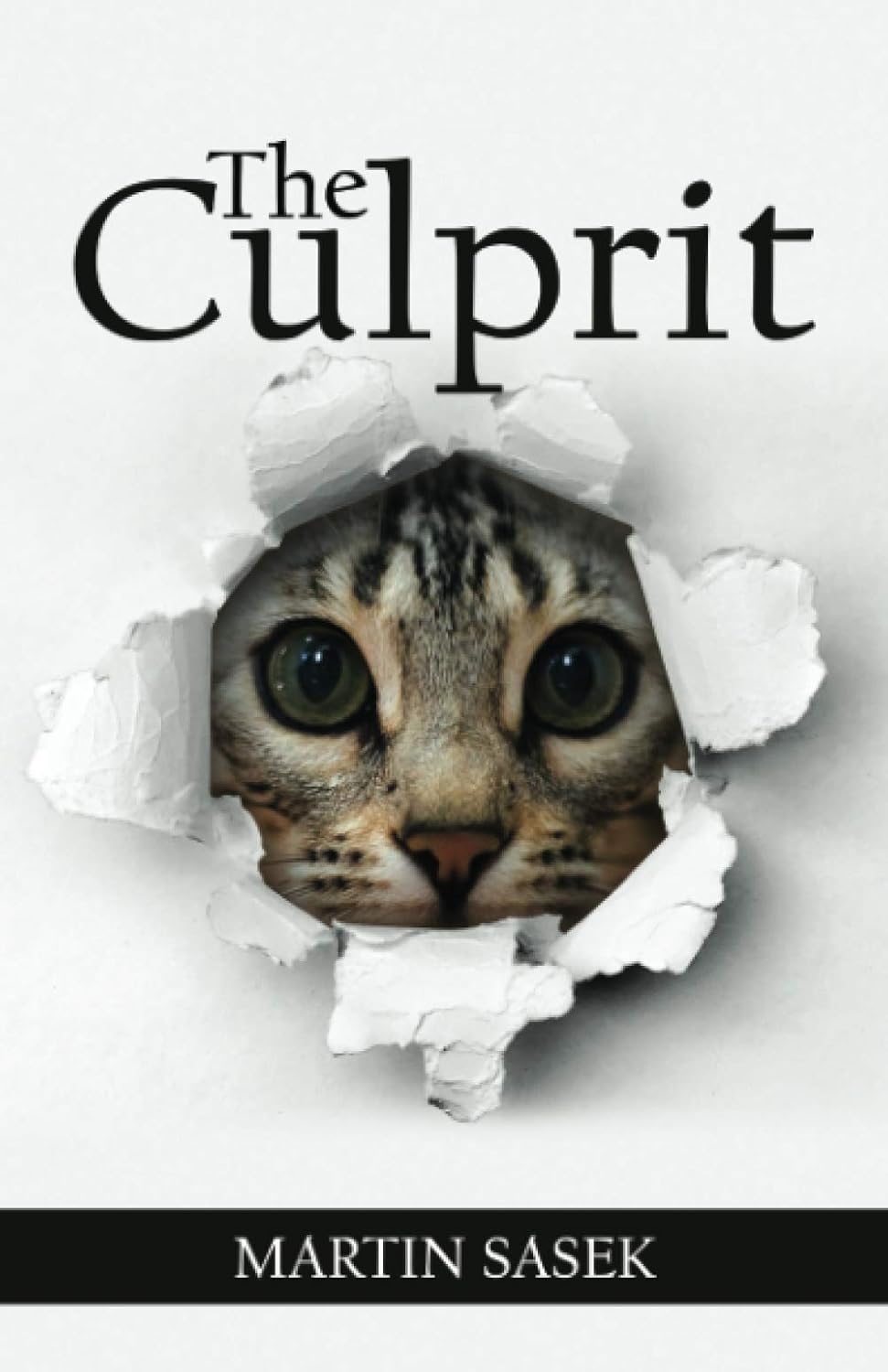 The Culprit: Sasek, Martin: 9781777180508: Amazon.com: Books