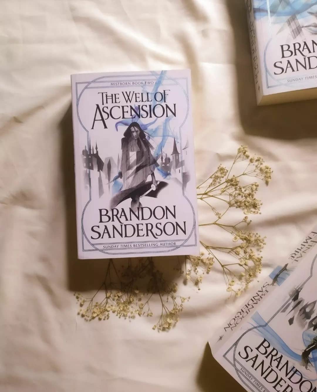 The Well of Ascension : Sanderson, Brandon: Amazon.in: Books