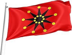 Amazon.com : Flag of Chinese-army Wuhan flag (1911-1928) 19 dots ...