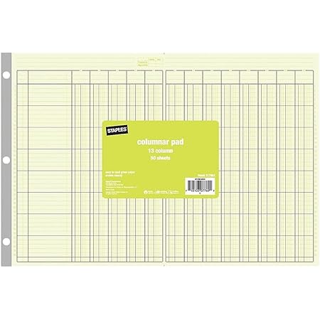 Amazon.com : Wilson Jones G7213A Accounting Pad, 13 Eight-Unit Columns ...