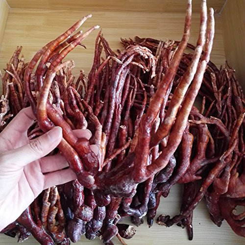 Amazon.com : Teriya Changbai Mountain Ganoderma Ganoderma lucidum ...