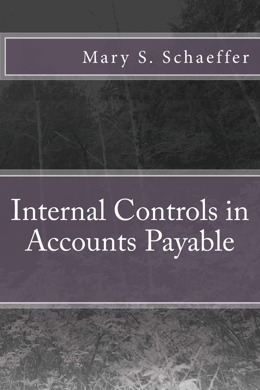 Internal Controls in Accounts Payable: Schaeffer, Mary S ...
