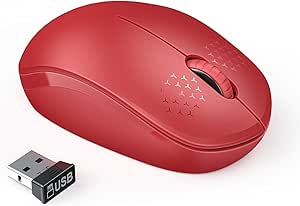 Amazon.com: seenda Wireless Mouse, 2.4G Noiseless Mouse with USB ...