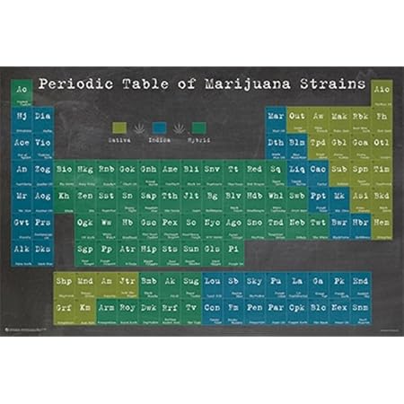 Amazon.com: Studio B Laminated Periodic Table of Cannabis Reference ...
