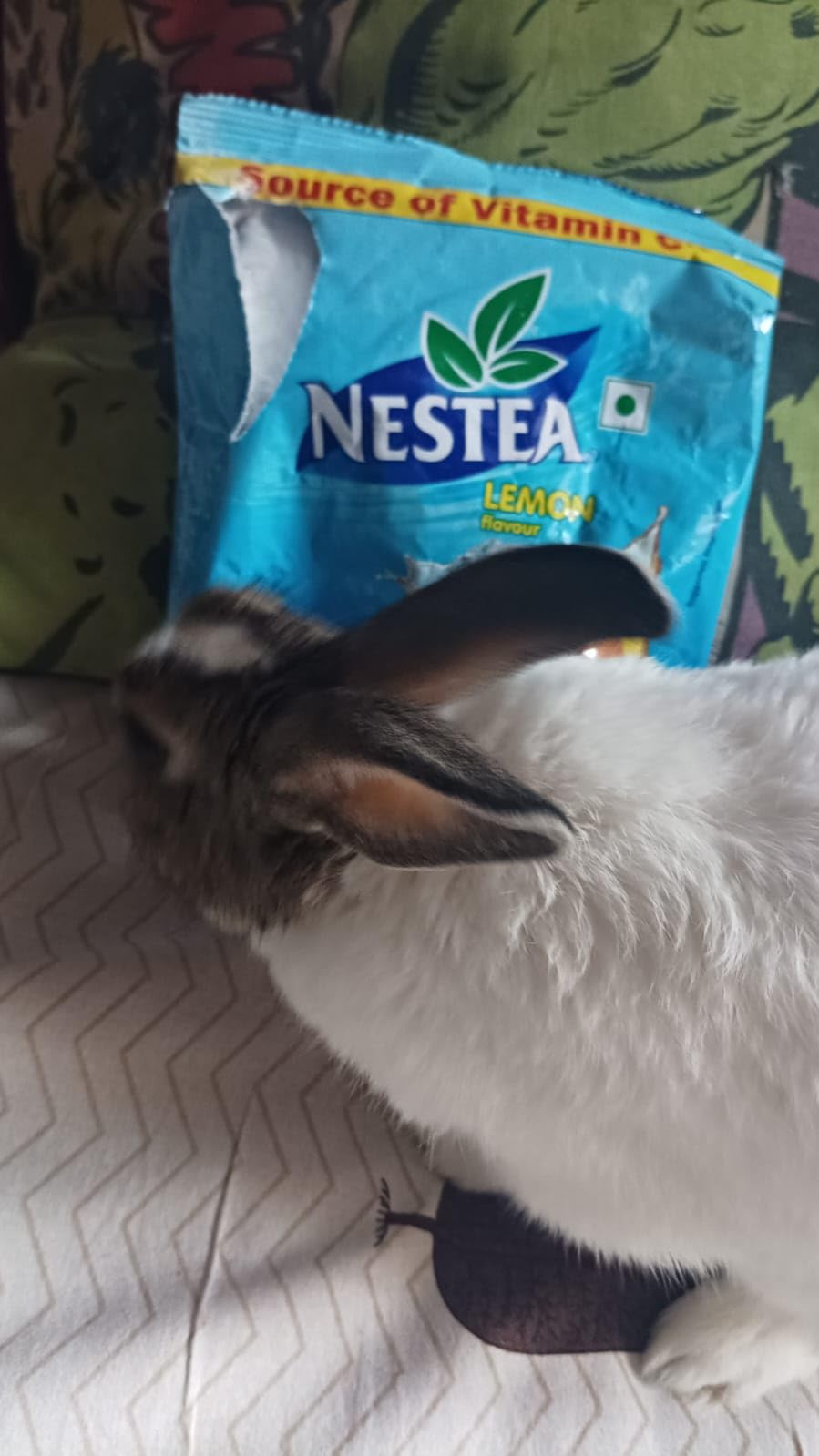 NESTEA Powder Instant Iced Tea, Lemon Flavour | Refreshingly Good Taste ...